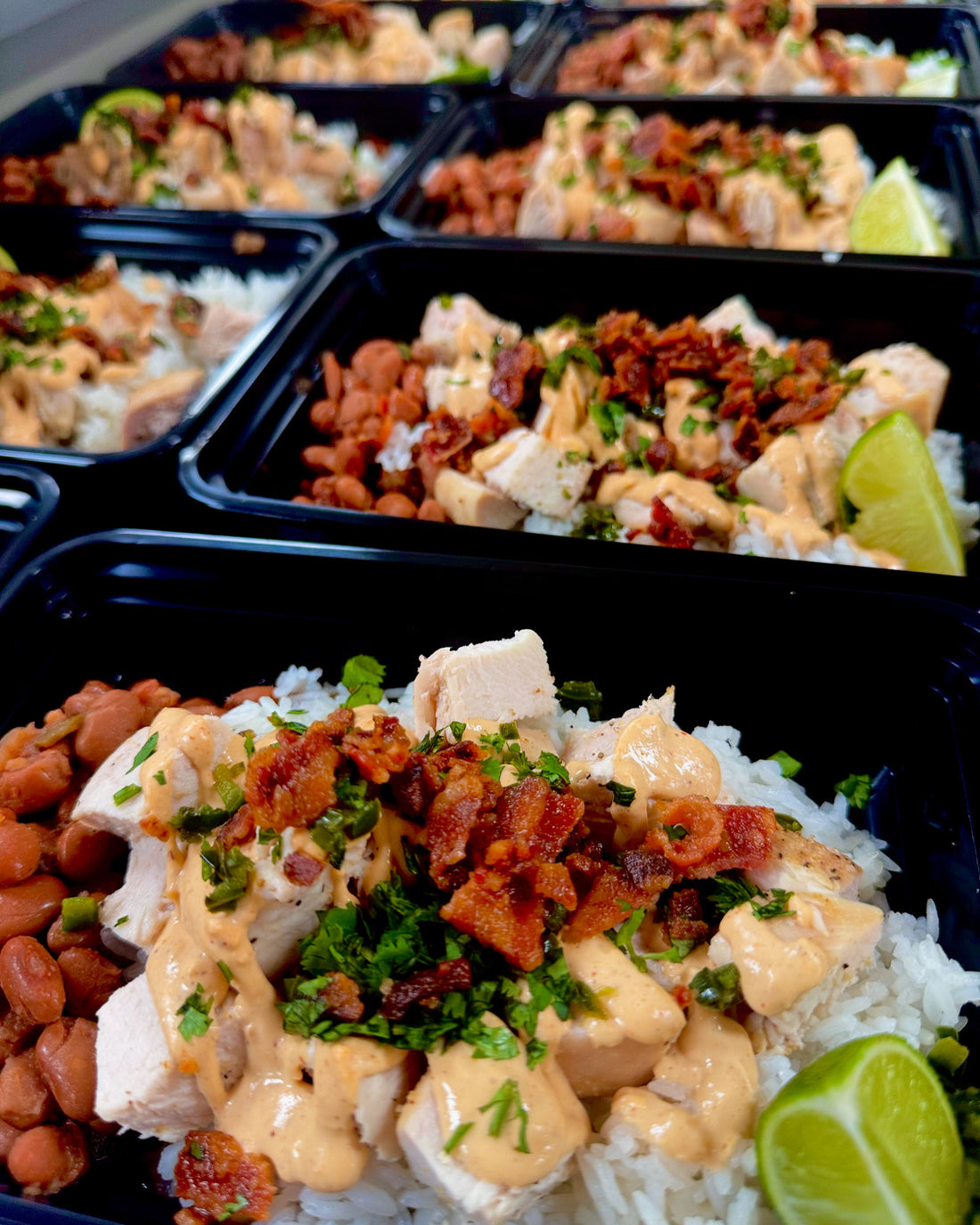 San Antonio, Texas Meal Prep Delivery - Fit Foodie – Fit Foodie Meals